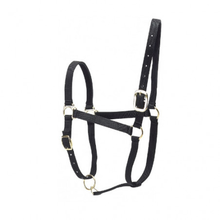 LICOL PONEY NYLON NORTON (130117)