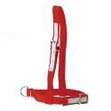 LICOL DE PRESENTATION POUR VACHE (121107)